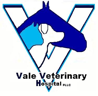 Vale Veterinary Hospital, PLLC - Home